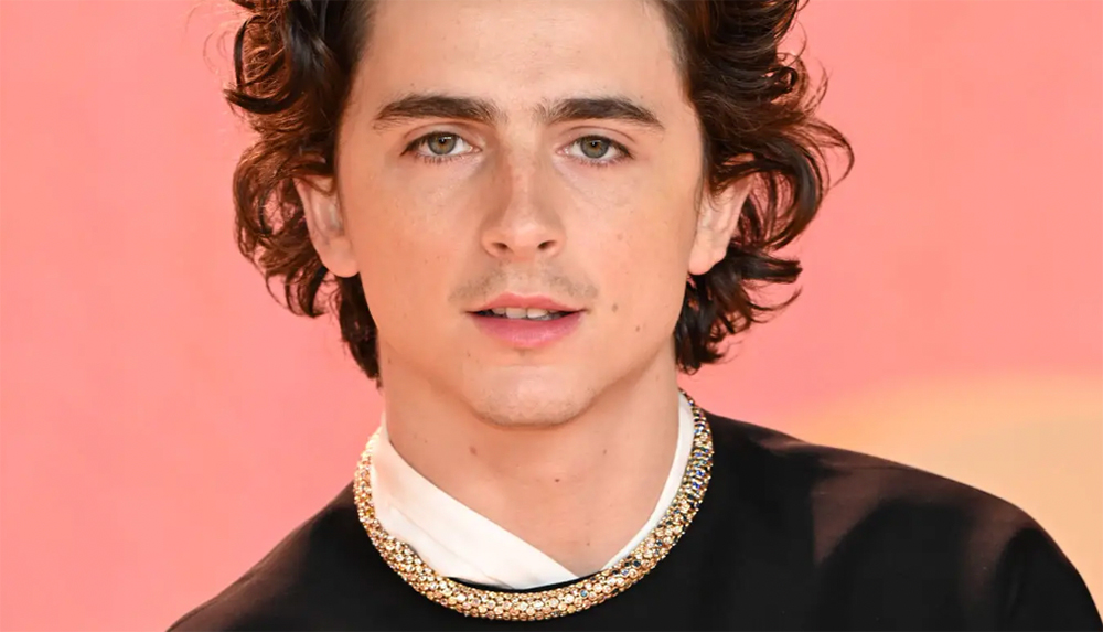 Timothée Chalamet Debuted a Second Unique Cartier Necklace for the Dune ...